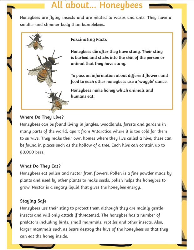 WORLD BEE DAY 20 MAY