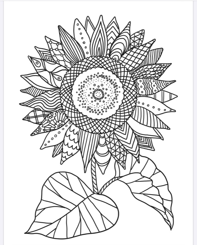 SUMMER HOLIDAY MINDFULNESS COLOURING